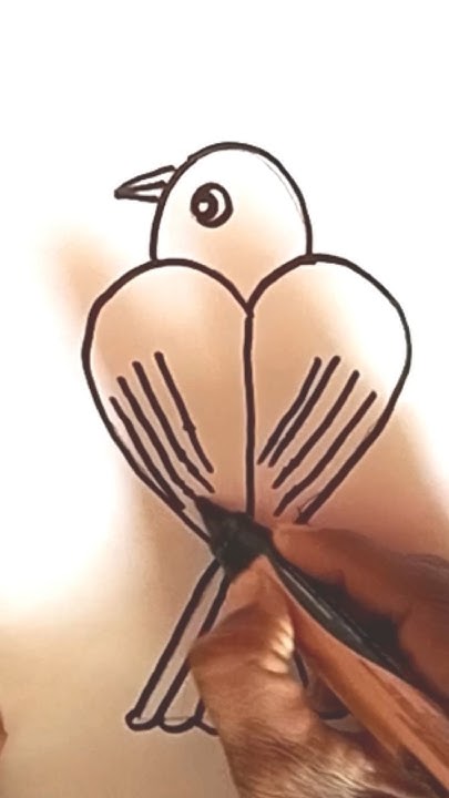 Bird drawing easy # bird drawing step by step# shorts# - YouTube