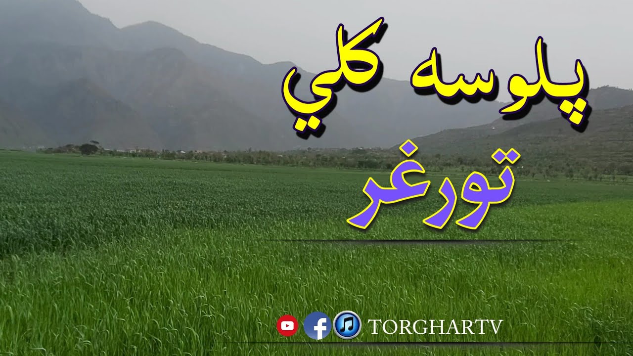 Palosa Kaly Torghar Village Life 2021 By Torghar Tv - YouTube