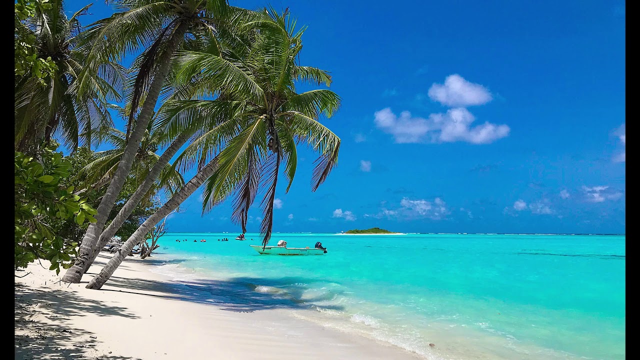4 Hour Relaxing Tropical Beach Sea Waves Study Sleep Meditate Relax ...