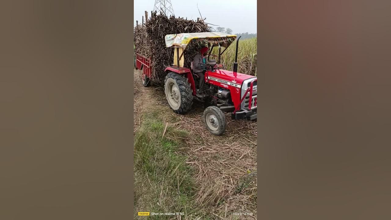 Do tractor milkar khet me fase ganne ki trolley nikalte huye,#Mahindra 585 & Massey Ferguson 241 ...