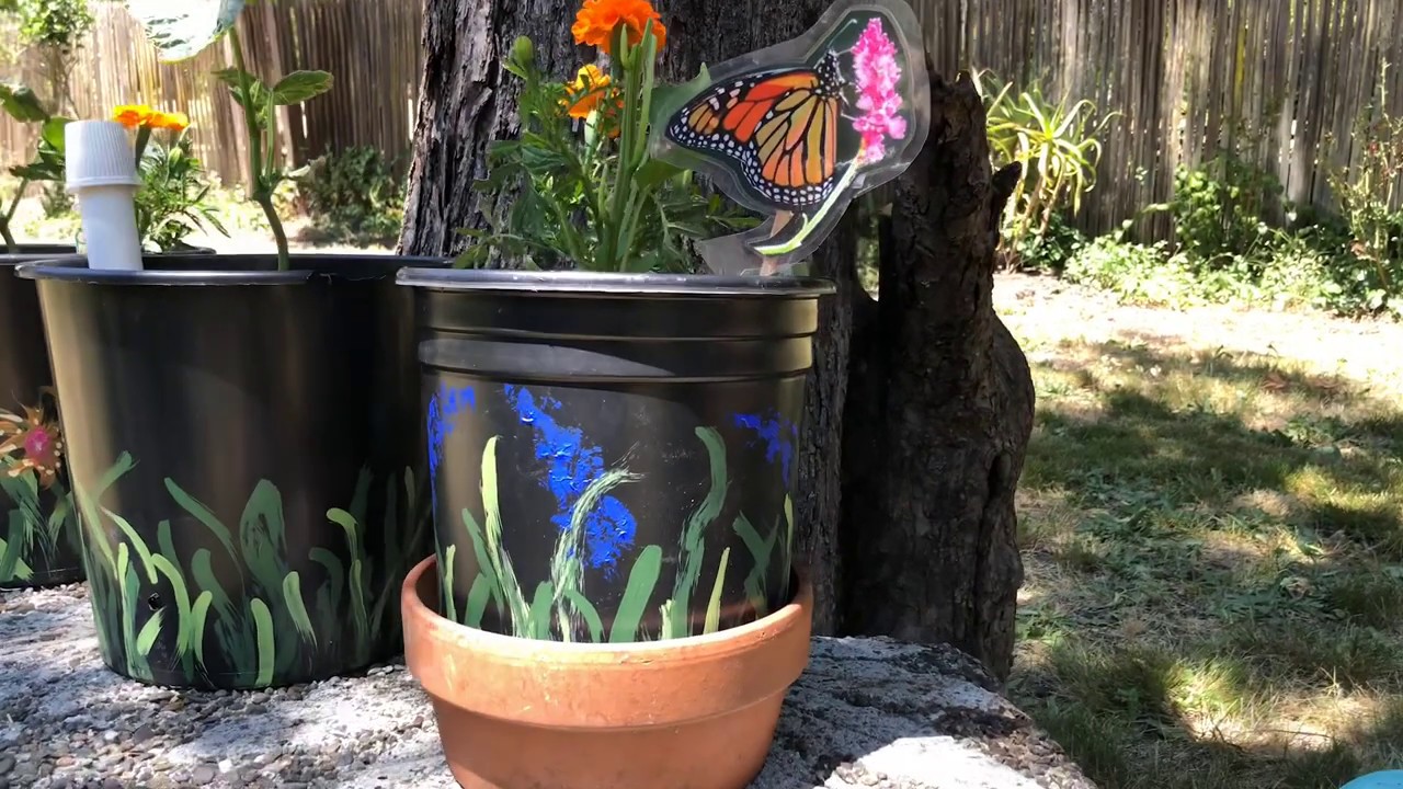 Add Zing to those Blah garden pots! - YouTube