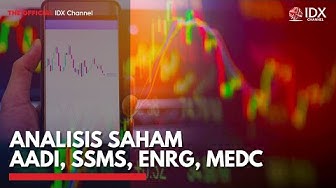 Analisis Saham PANI, BREN, PTRO | IDX CHANNEL - YouTube