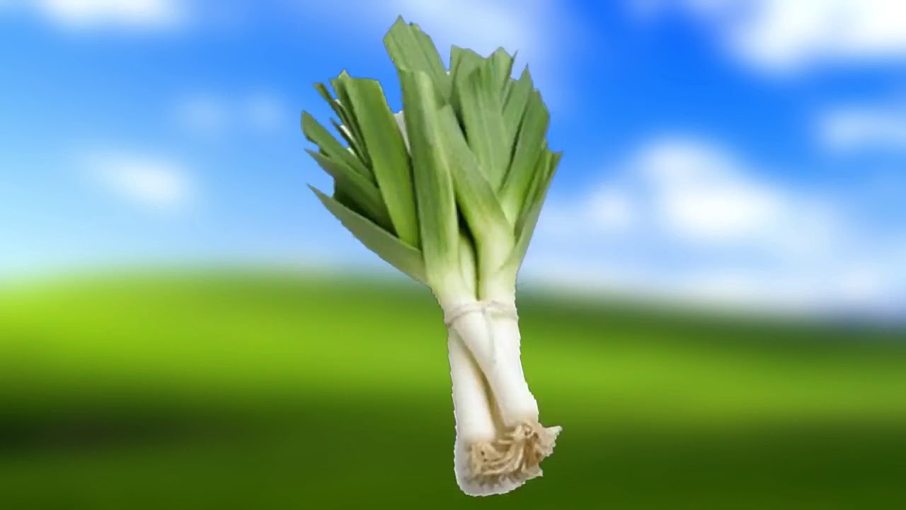 Levan Polka - Leek Spin - YouTube Music