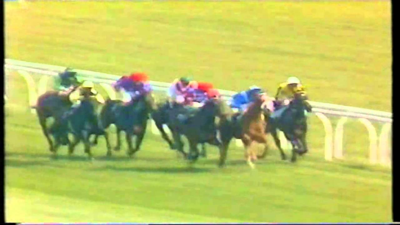 1985 Fred Darling Stakes Newbury Al Bahathri Top Socialite - YouTube