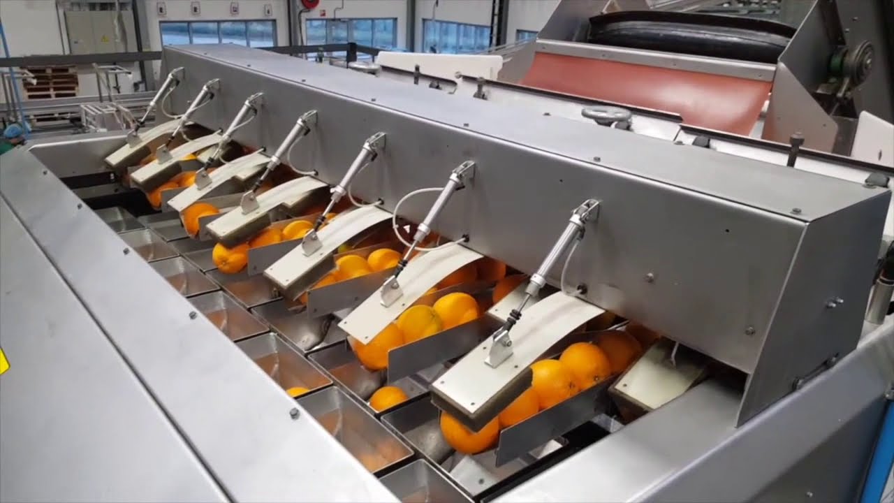 Used Sorma net packaging machine / Girsac machine - YouTube