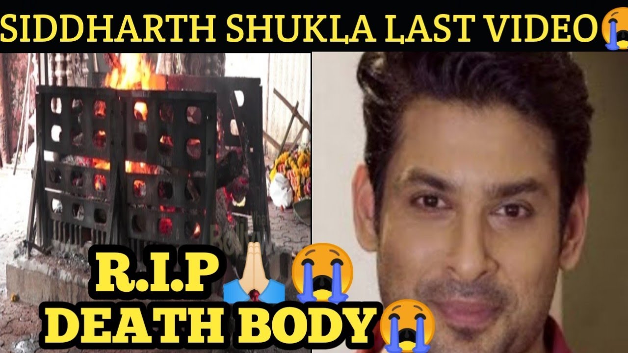 Siddharth Shukla Body