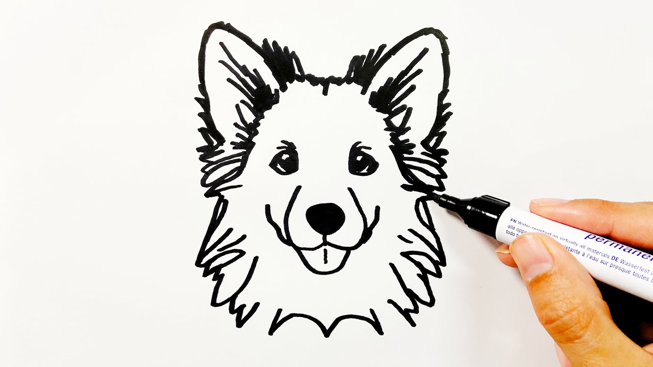 How To Draw A Collie Dog YouTube how-to-draw-a-collie-dog-youtube