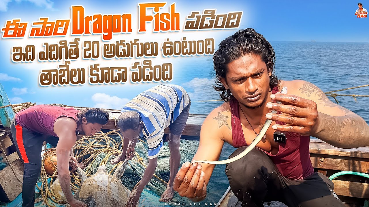 local Boi Nani | ఈ సారి మన వలలో Dragon Fish పడింది | తాబేలు వలలో ...