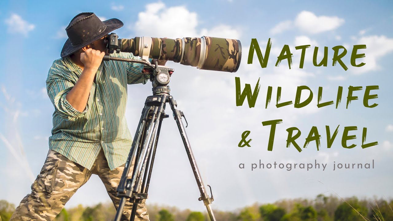 Nature, Wildlife & Travel Photography Journal - Asia | Africa | North ...