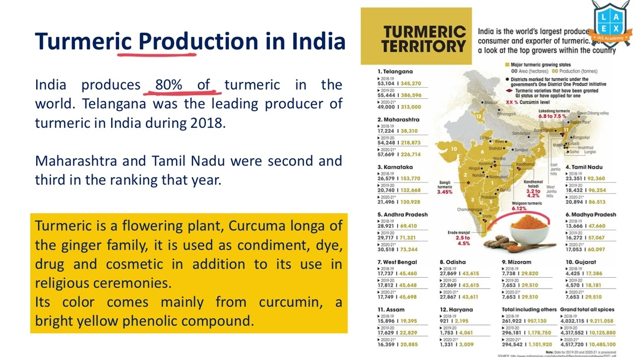What is India’s Rank in Turmeric Production? || పసుపు ఉత్పత్తిలో ఇండియా ...