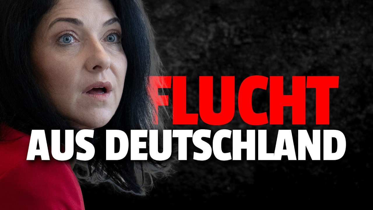 💥Wer Geld hat wandert aus, wer kein Geld hat wandert ein - YouTube