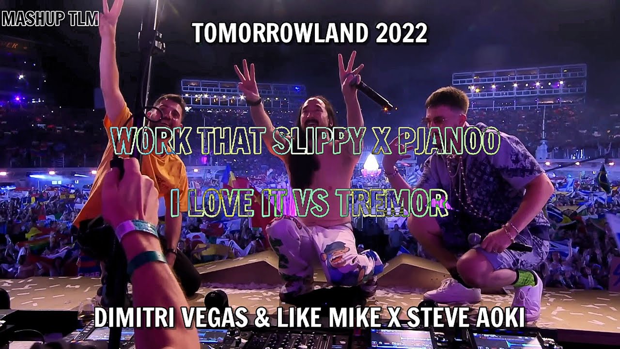 Dimitri Vegas & Like Mike X Steve Aoki - Work That Slippy X Pjanoo vs I ...