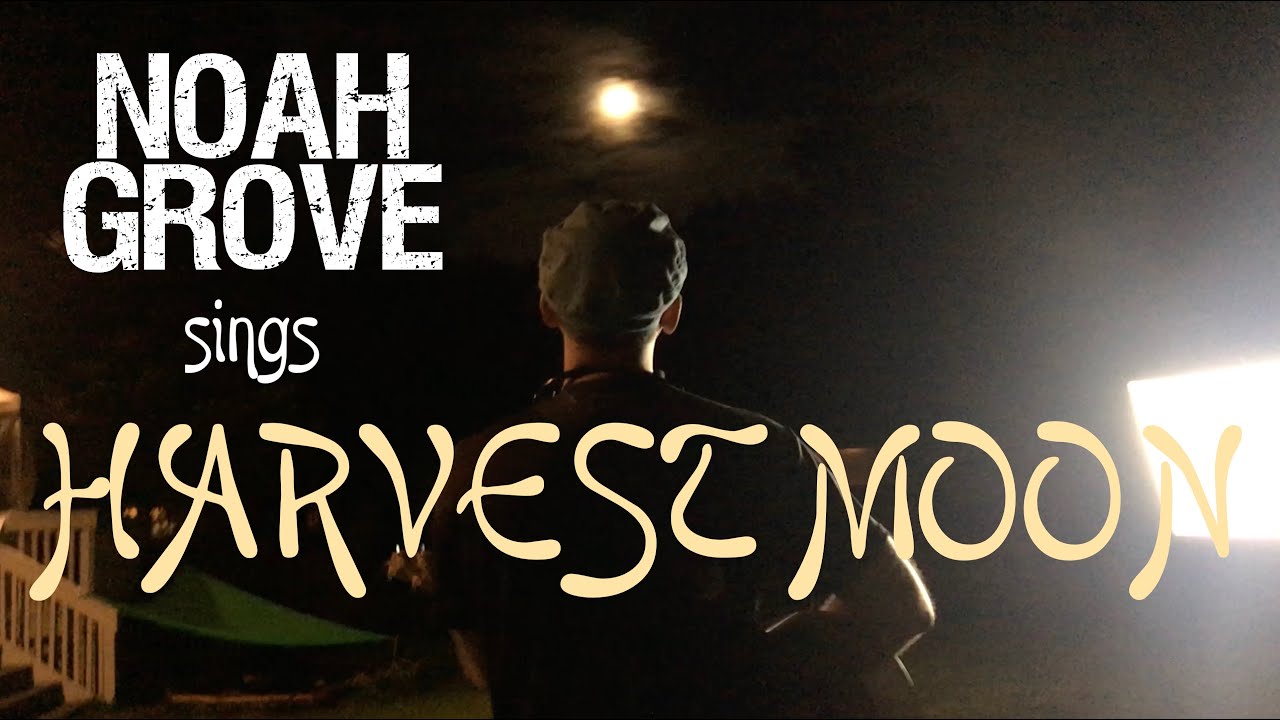 Harvest Moon covered by NOAH GROVE - YouTube