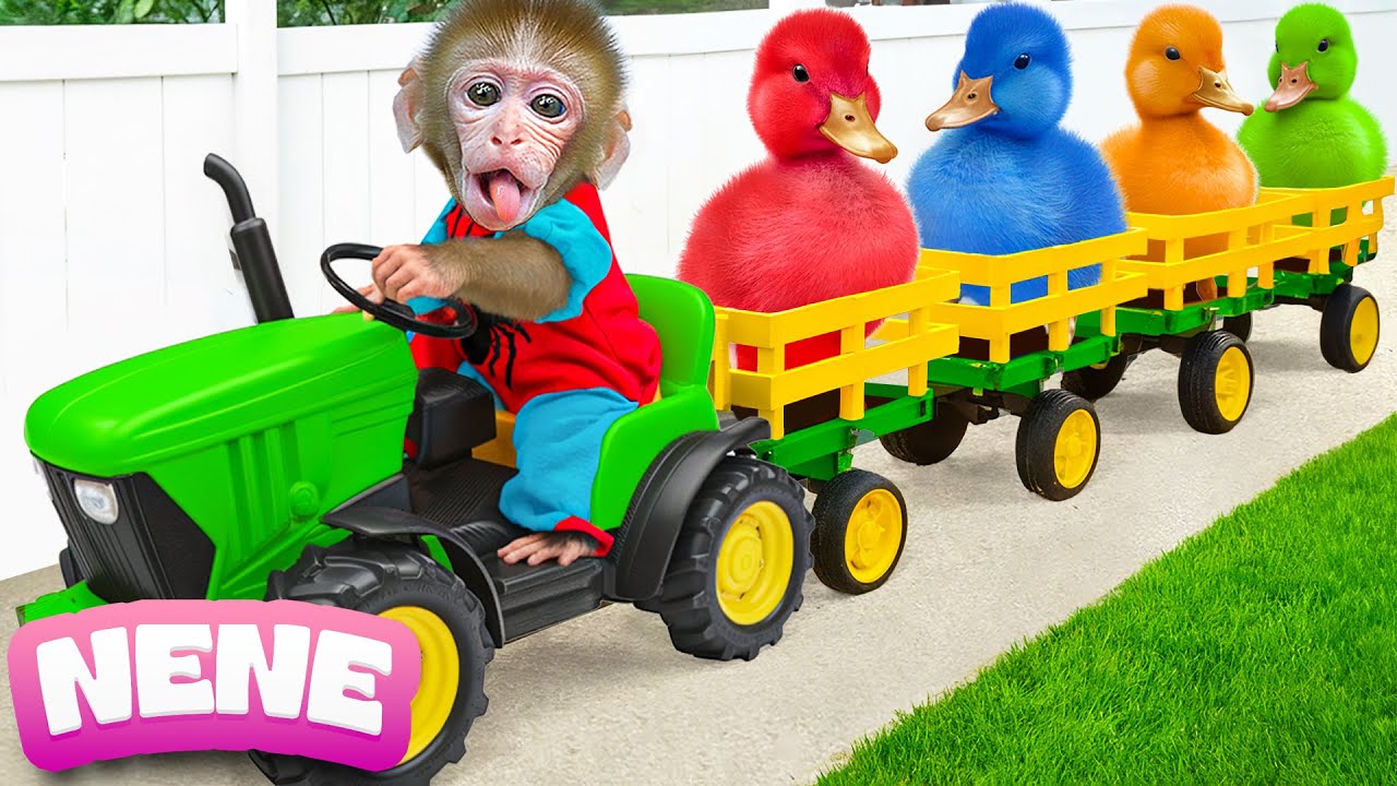 Monkey NeNe Rescue Colorful Five Little Duckling At The Farm & Eat ...