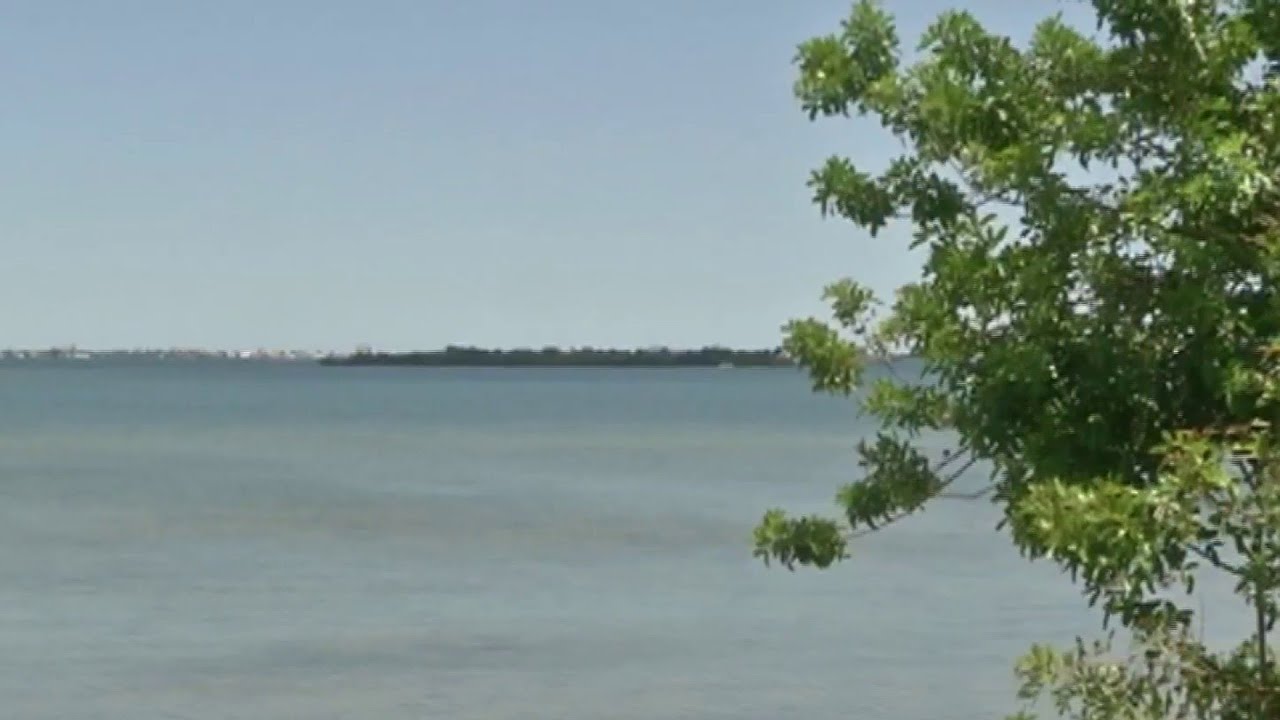 Cleaning up the Indian River Lagoon - YouTube