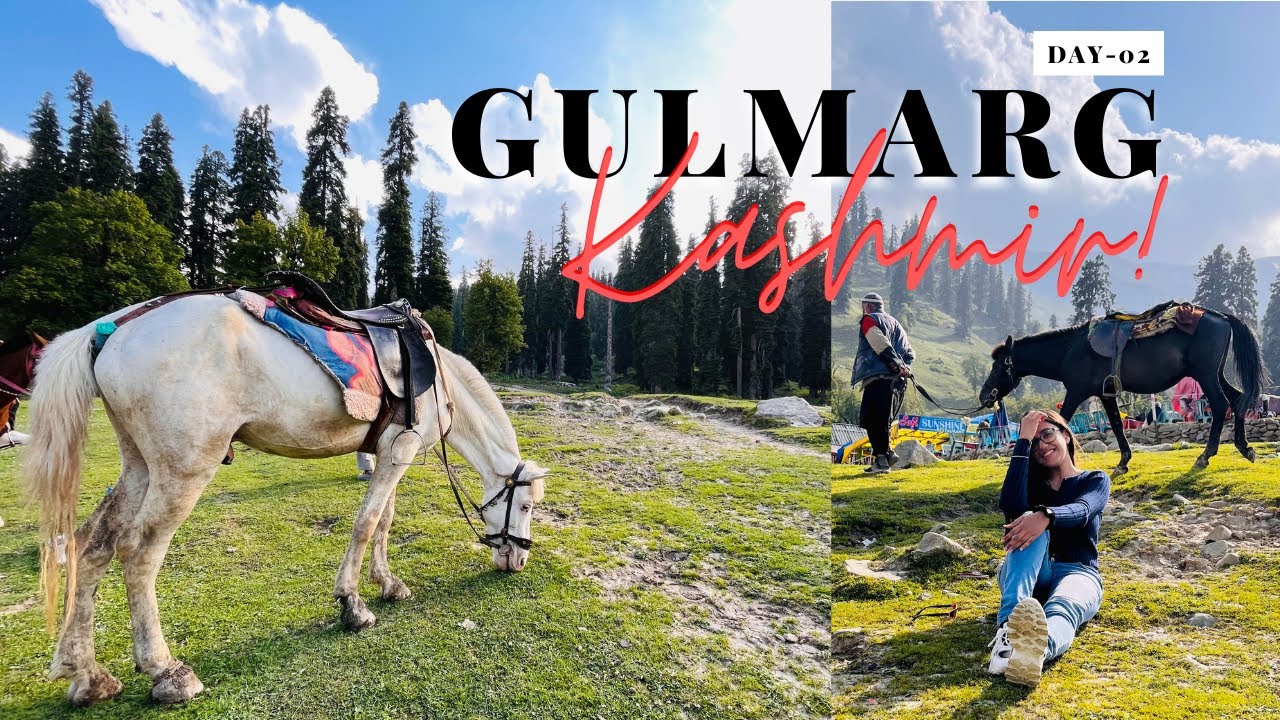 Found Paradise in Gulmarg! Day-02: Gulmarg in June #kashmir #gulmarg ...