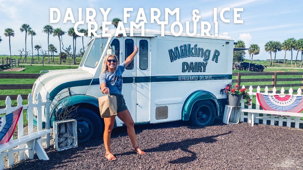 Milking R Dairy // South Florida Dairy Farm Tour! - YouTube