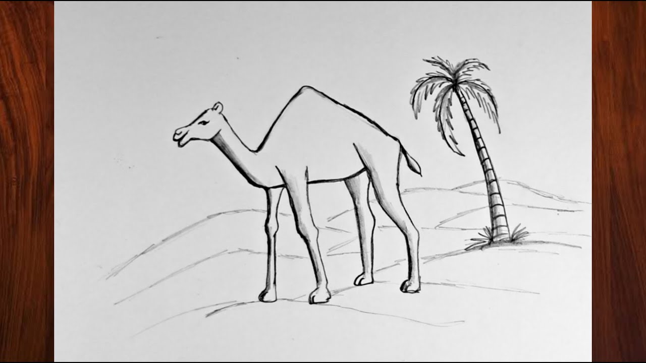 How To Draw A Camel 🐫 easy step by step | Easy camel drawing | Camel ...