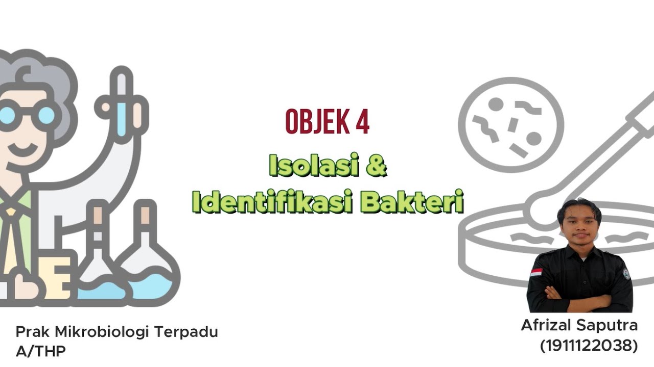 OBJEK 4 : Isolasi dan Identifikasi Bakteri - YouTube