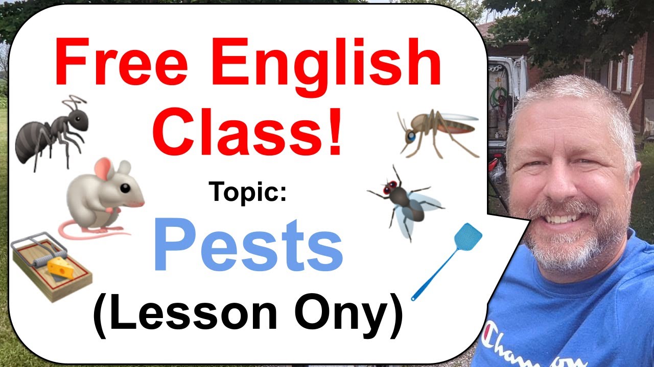 Let's Learn English! Topic: Pests! 🦟🐭🐜 (Lesson Only) - YouTube