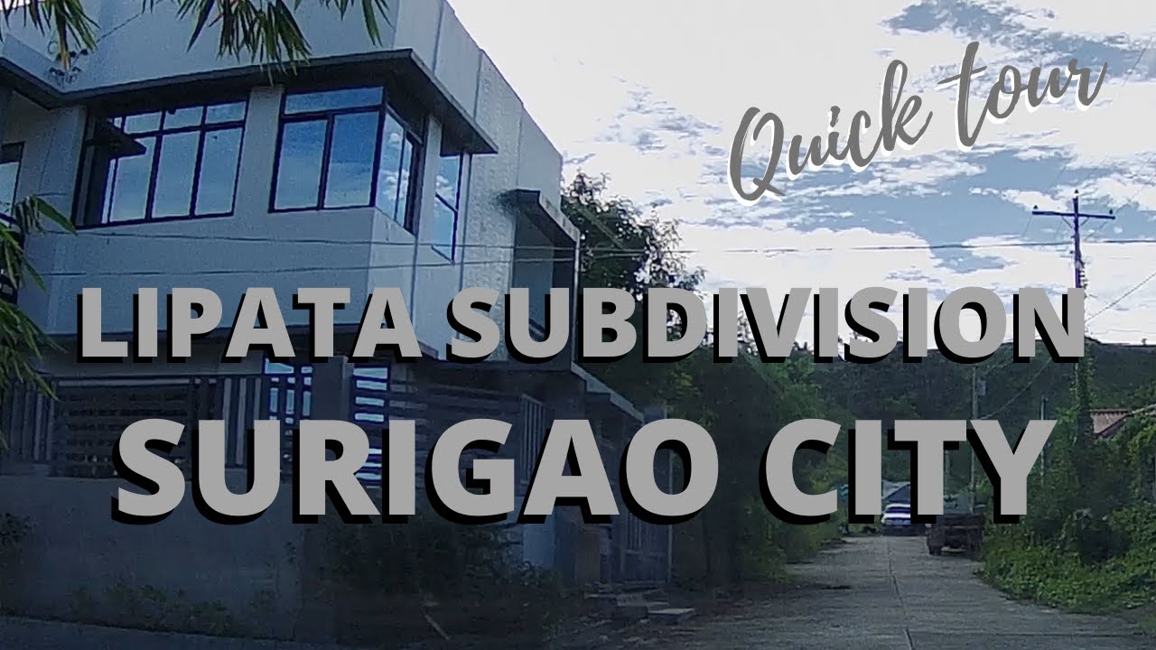 LIPATA SUBDIVISION, BRGY. LIPATA, SURIGAO CITY, SURIGAO DEL NORTE ...
