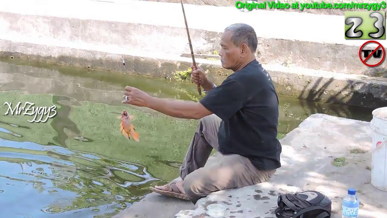 Fast Fishing In Pond Mancing Mania 2 - YouTube