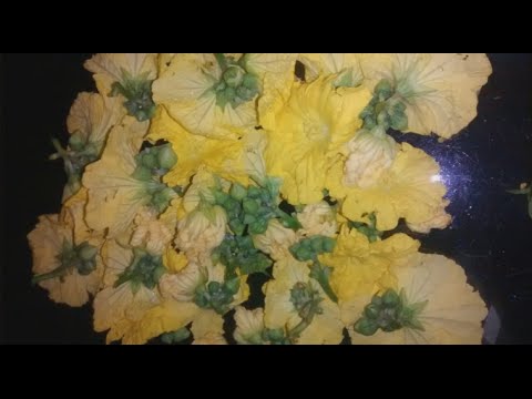 Tori ke phool ki chutney \ Ridge Gourd chutney - YouTube