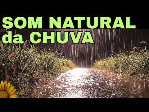 🌻A PAZ de uma NOITE CHUVOSA no INTERIOR: SOM NATURAL da CHUVA