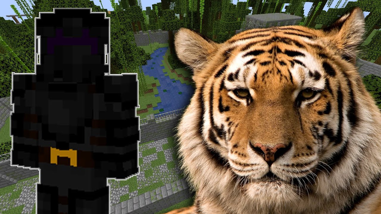 The big tiger habitat. (modded minecraft|Alex's Mobs) - Zoo Ep.9 - YouTube