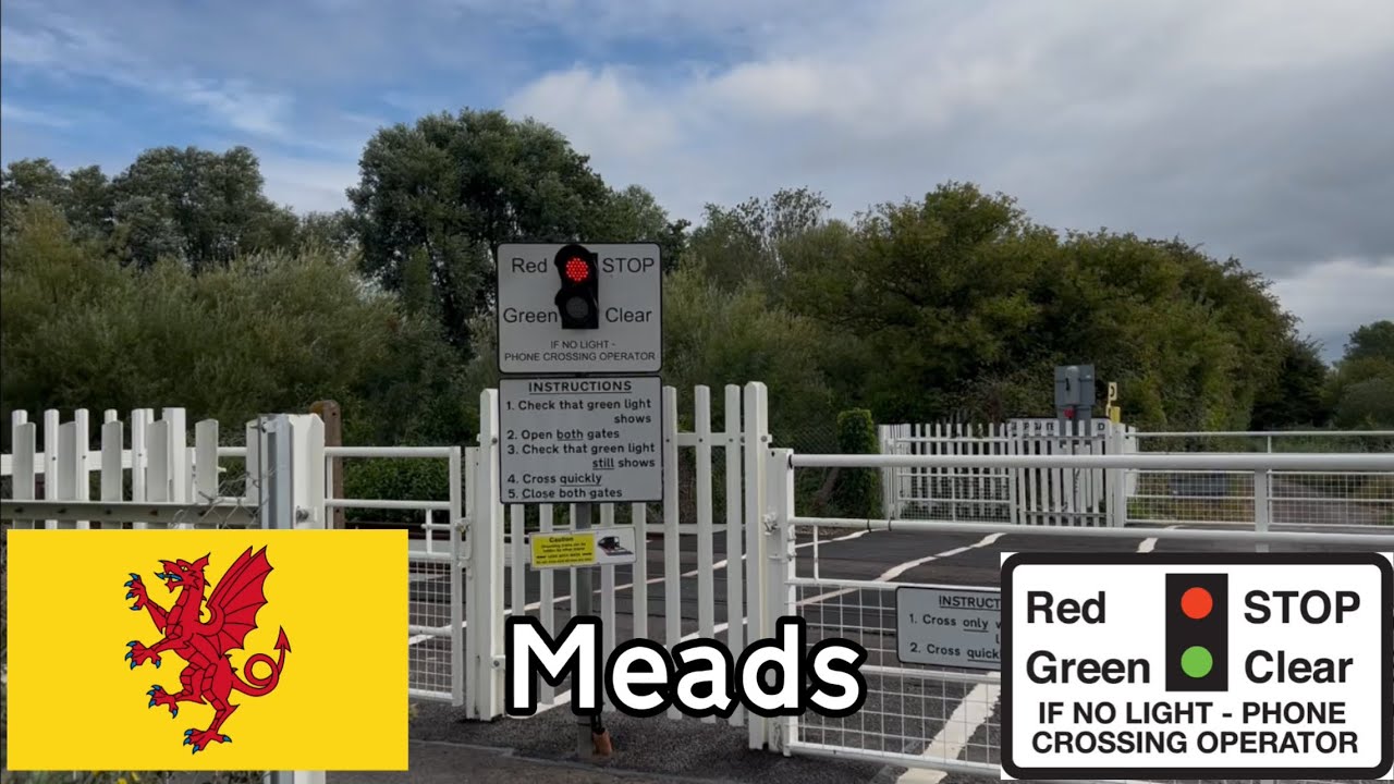 Meads (User Worked) Level Crossing (Somerset) 18/07/2025 - YouTube