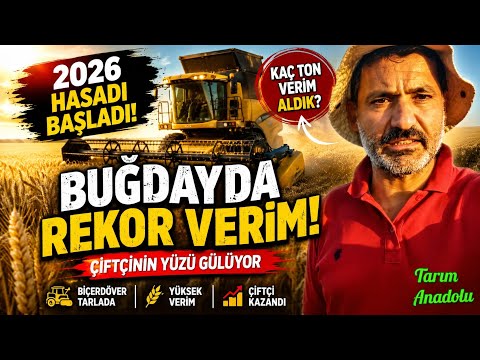 2026 BUĞDAY HASADI BAŞLADI! Rekor Verim Geldi mi? Biçerdöver Tarlada - 2026 Wheat Harvest in Türkiye