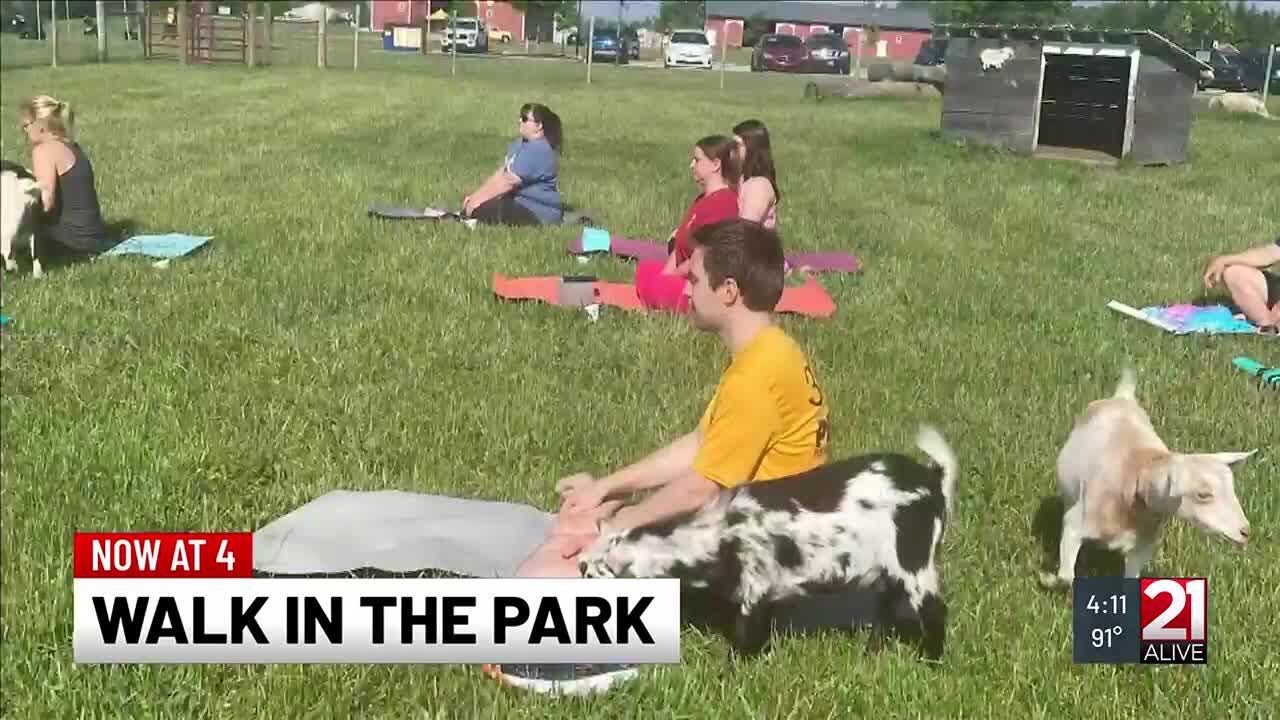 Walk in the Park: Salomon Farm Park - YouTube