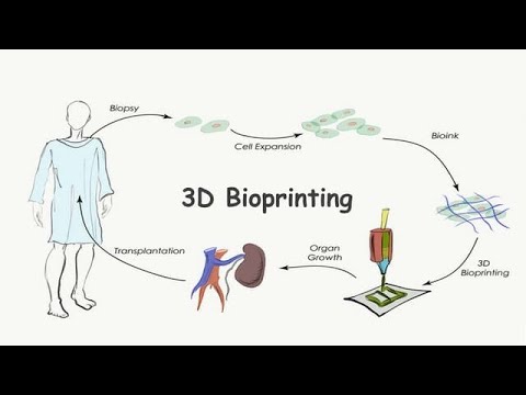 Biology for Engineers, Module 5, 3D Introduction Bio Printing ...