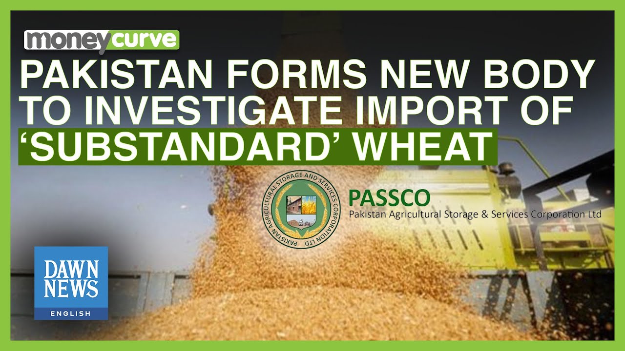 Pakistan Forms New Body To Probe ‘Substandard Wheat’ Import | Dawn News ...