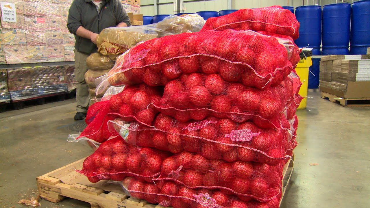 How Can Communities Help the Hungry Get Nutritious, Affordable Food ...