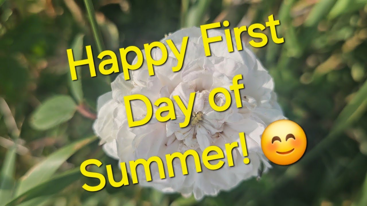 Happy Summer Solstice! It's The First Day of Summer! #gardening #garden ...