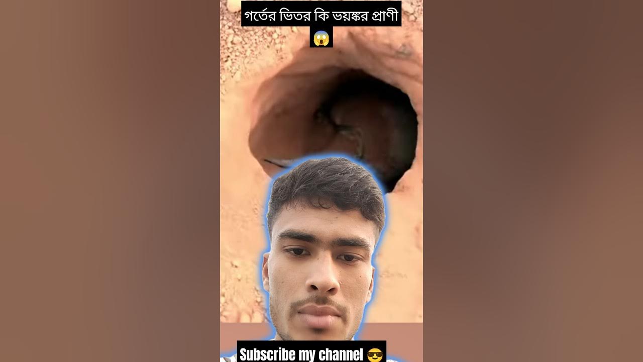 গর্তের ভিতর কি ভয়ঙ্কর প্রাণী 😱What a terrible creature is inside the hole? #reels #shorts - YouTube