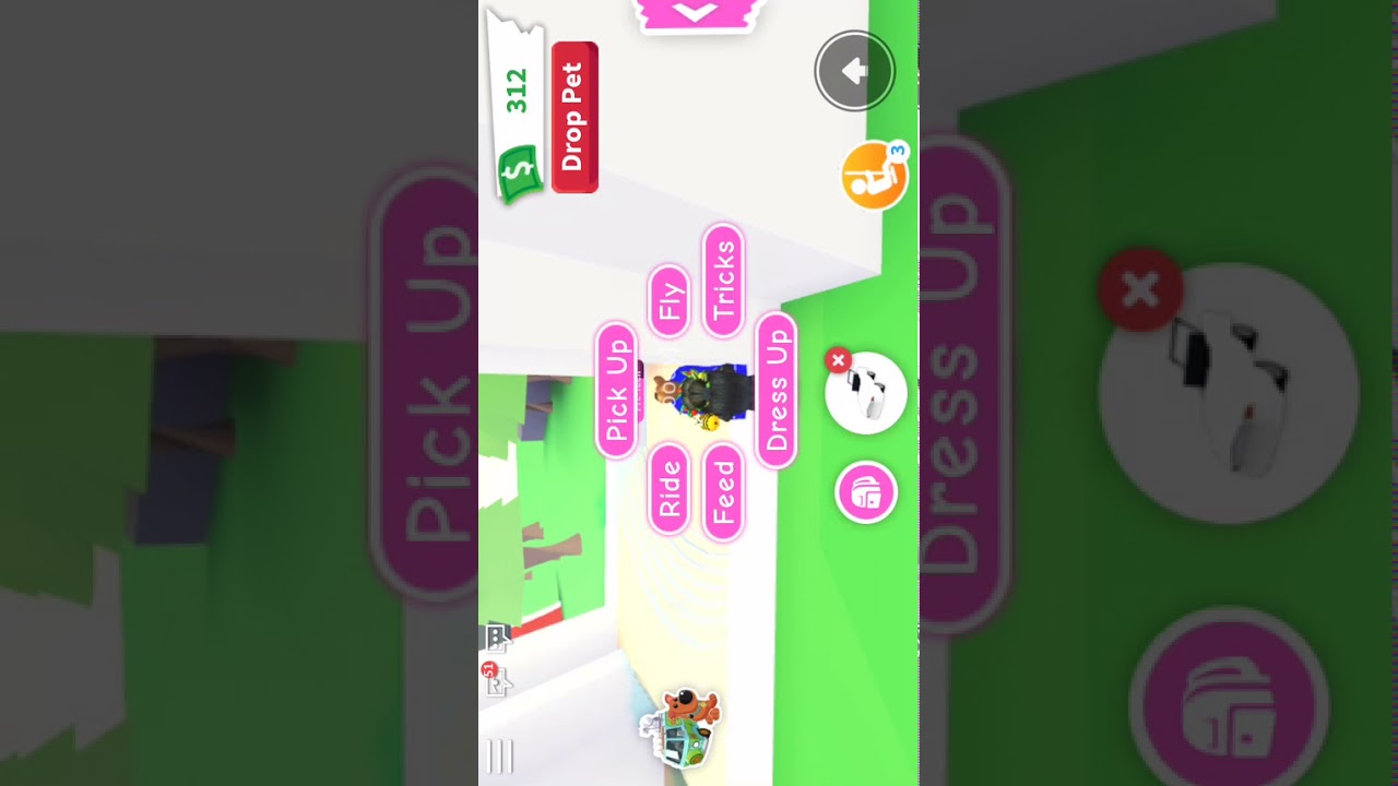 Me and sunny playing Roblox - YouTube