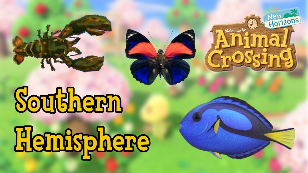 ALL New Southern Hemisphere Fish, Bugs, and Sea Creatures in October ...