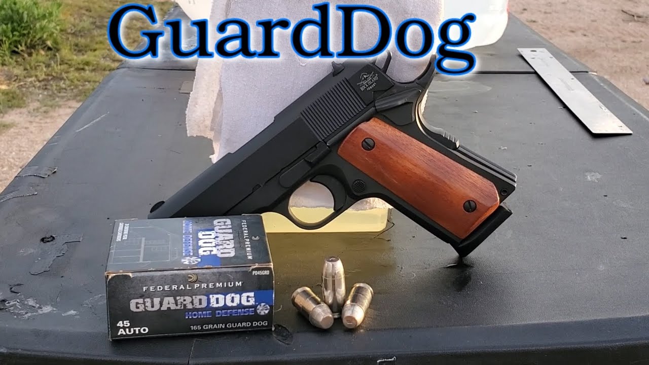 .45 acp federal guard dog in ballistics gel - YouTube