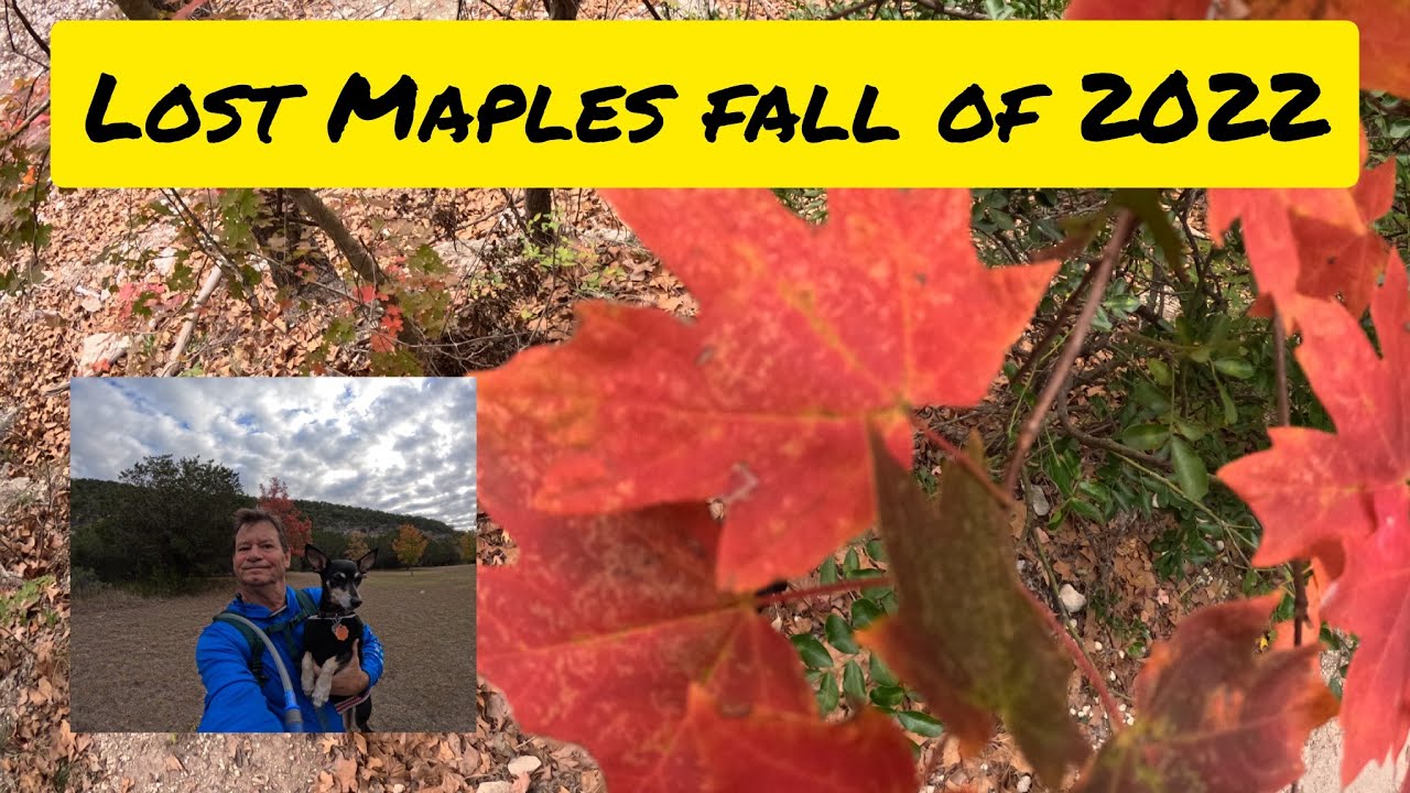 Lost Maples Fall Of 2022 - YouTube