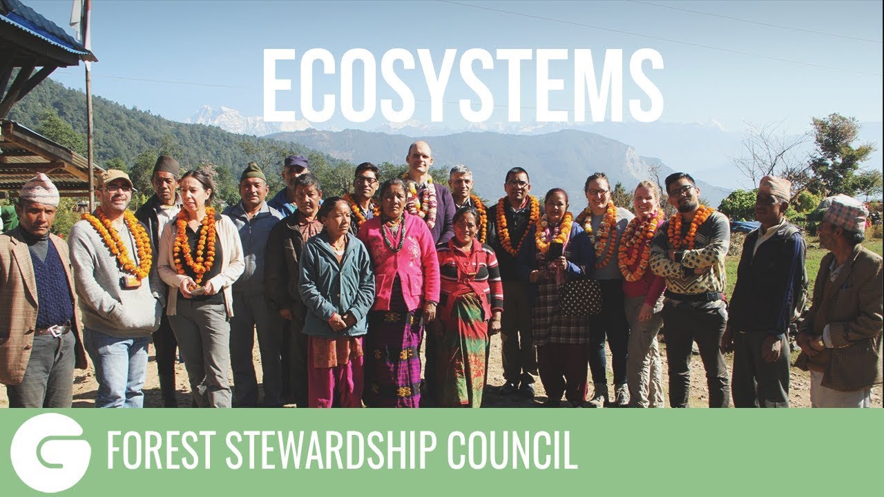 FSC | Ecosystem Services - YouTube