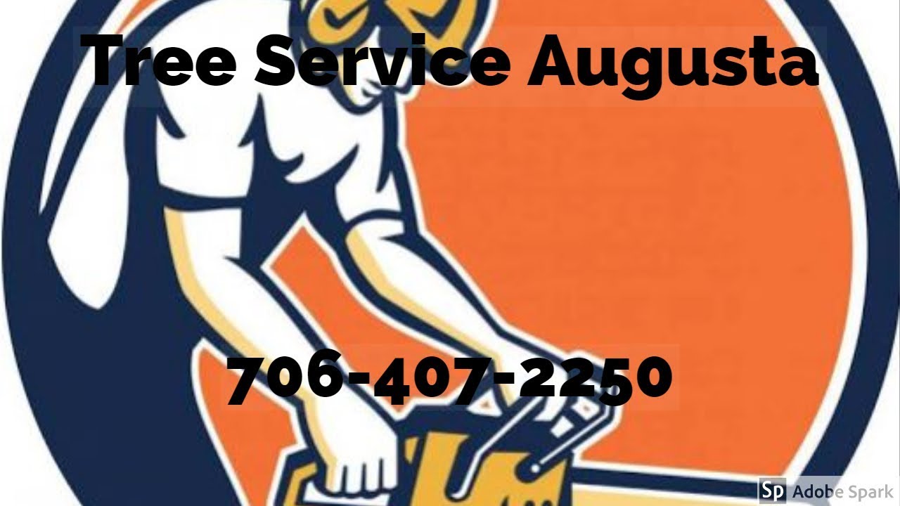 tree service north augusta | Professional Tree Removal - YouTube