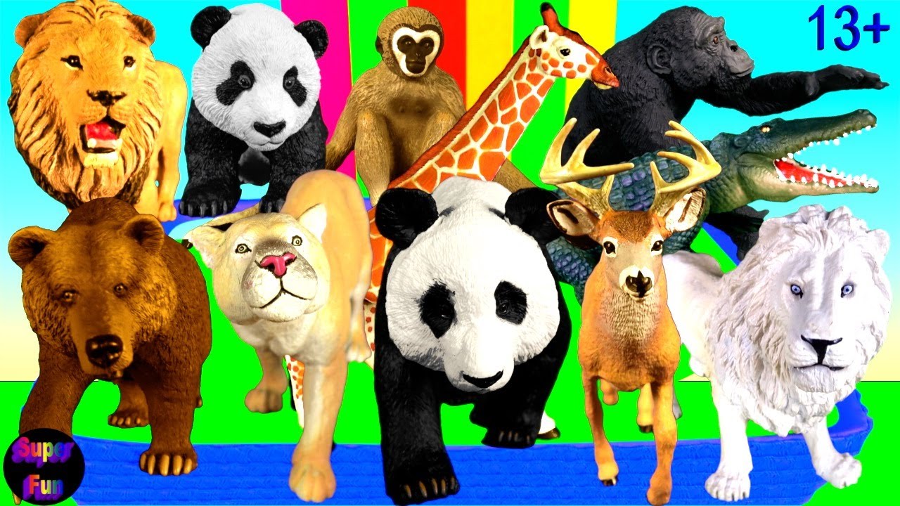 Zoo Animals - Lion, Cougar, Giraffe, Panda, Bear, Crocodile, Chimp ...