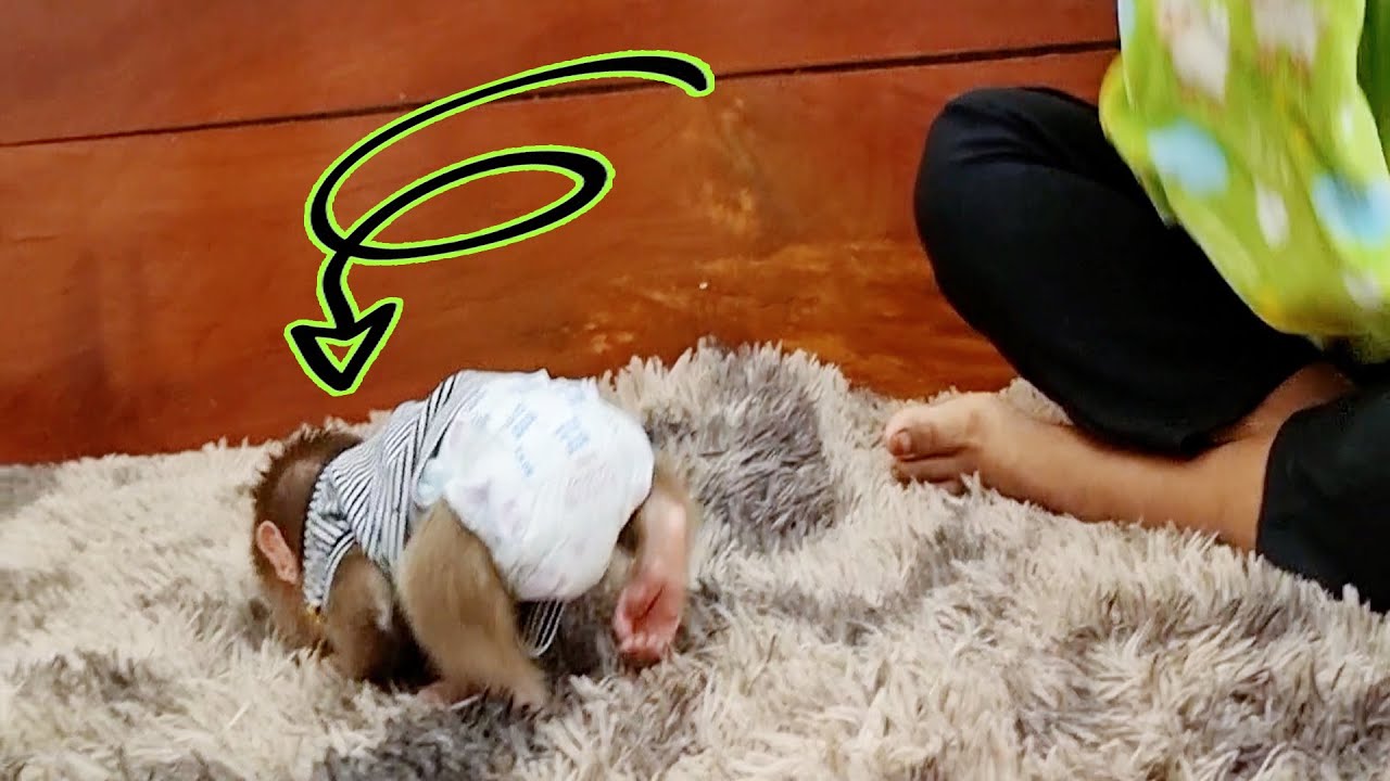 BeeBoy Extremley Anqry With Mom And Turn His Head Down Aviod LOoking At ...