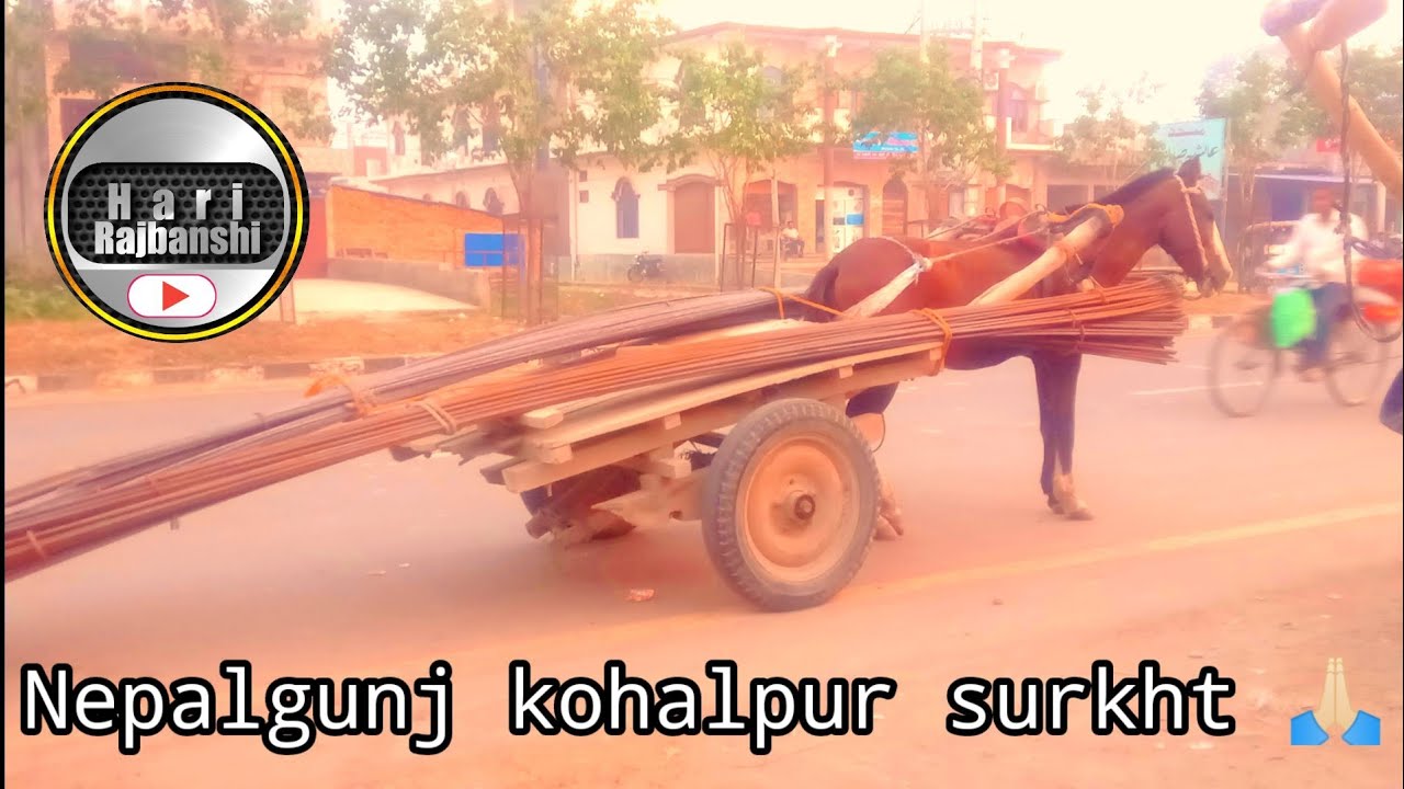 Nepalgun Kuhalpur// Trip #harirajbanshi - YouTube