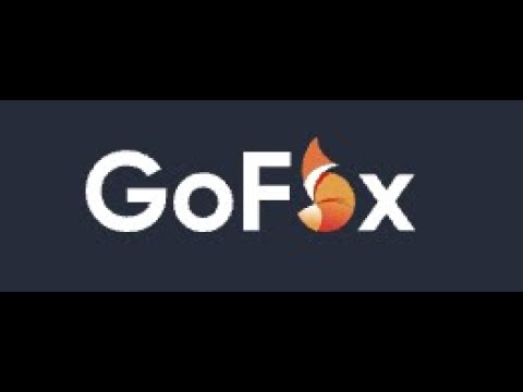 GUIDELINES FOR PROJECT INVESTMENT PROCESS || Gofox || On the NFT Gofox ...