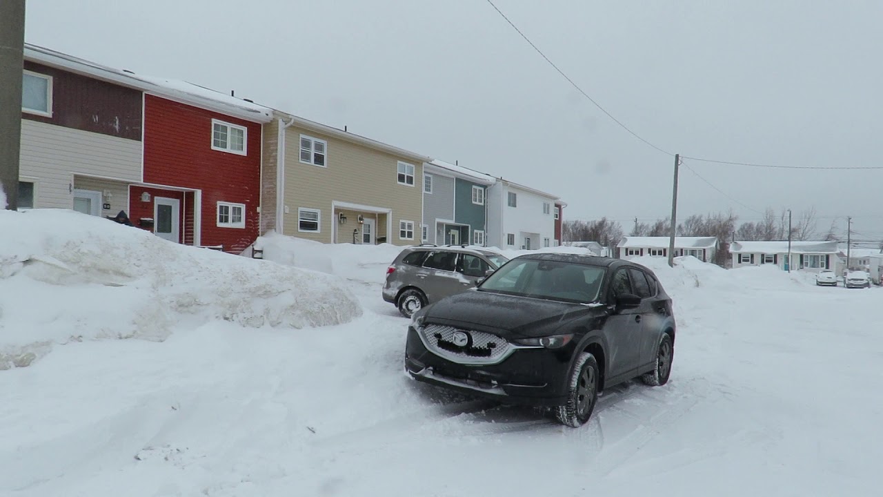 This is how much snow we have as of March 8 , 2020 in Gander Nl - YouTube