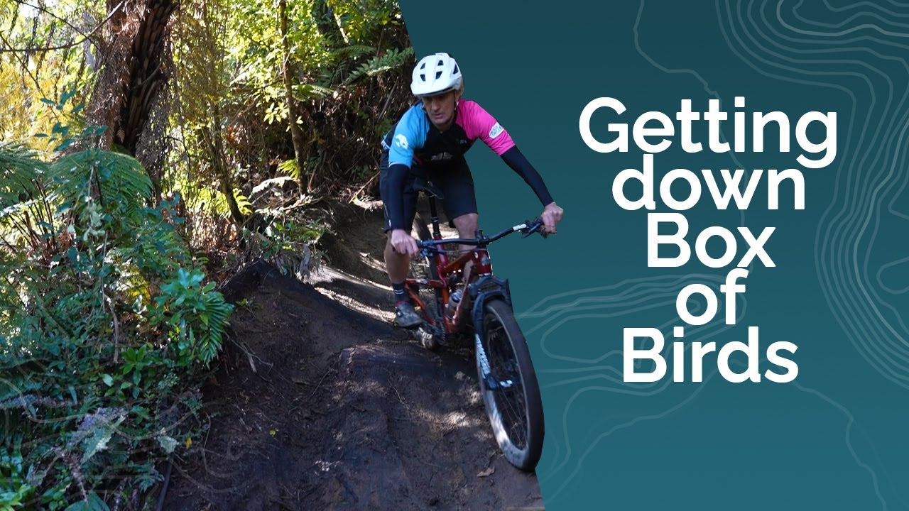 Riding Box of Birds - Whaka 100 Technical Terrain Series - YouTube