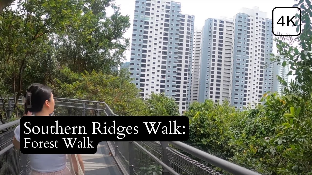 Southern Ridges (Forest Walk) Hiking Tour | 4K Singapore Travel Vlog ...